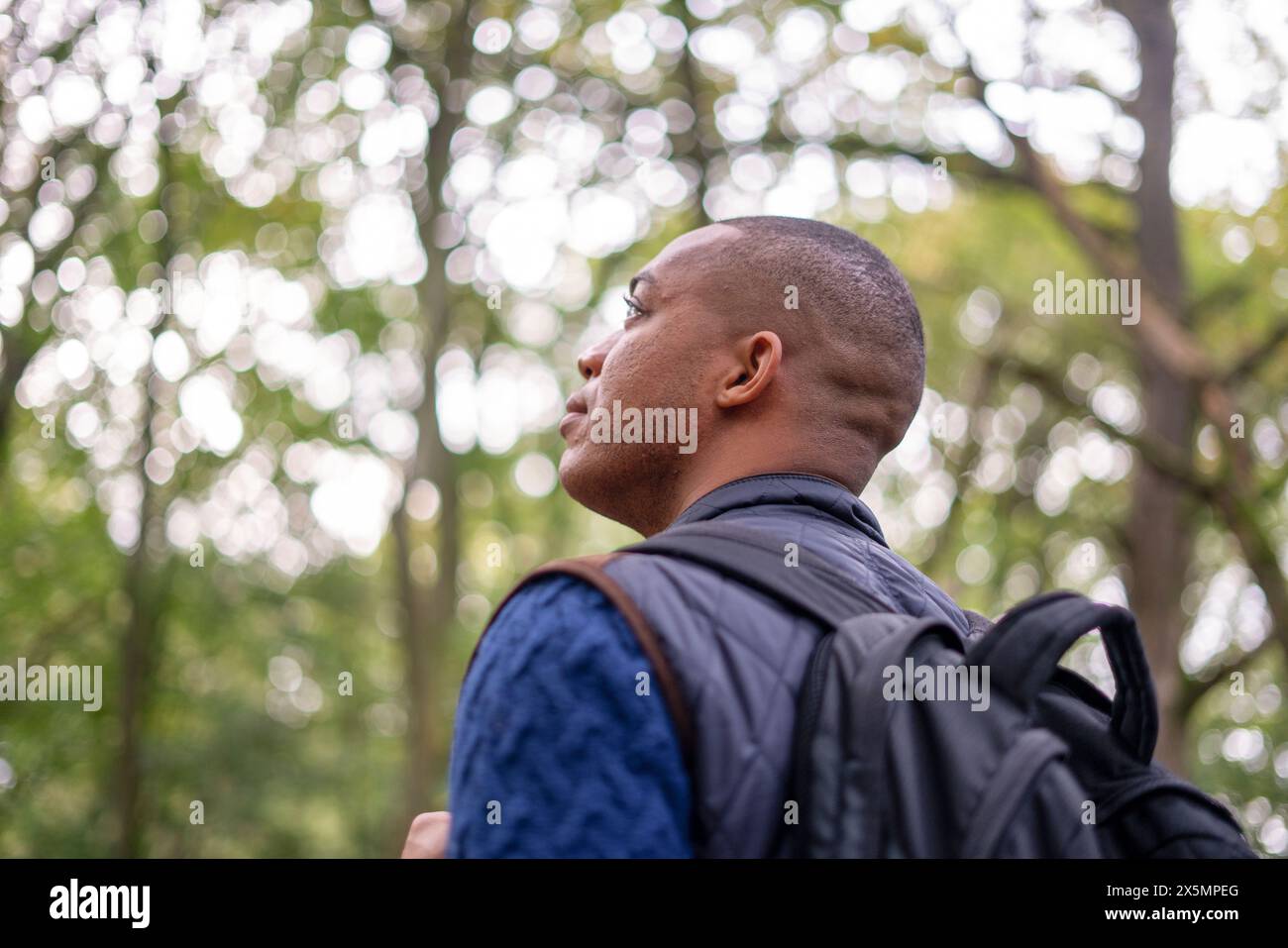 Man looking at trees in forest during nature walk in autumn Stock Photo ...