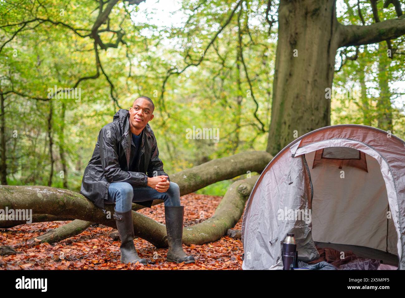 Man sitting on log next to tent in forest Stock Photo - Alamy