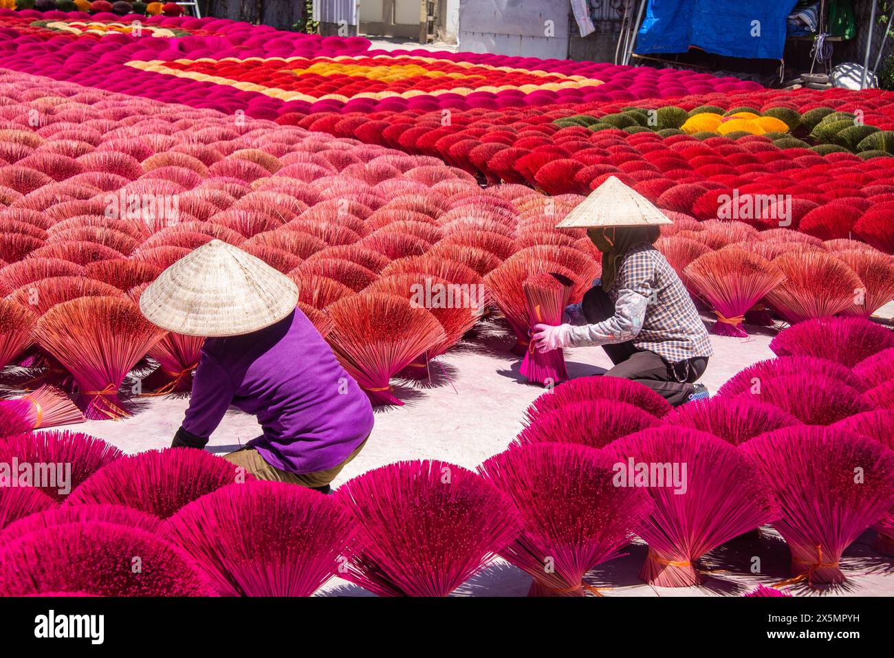 Workers drying incense in the Quang Phu Cau incense village, Hanoi ...