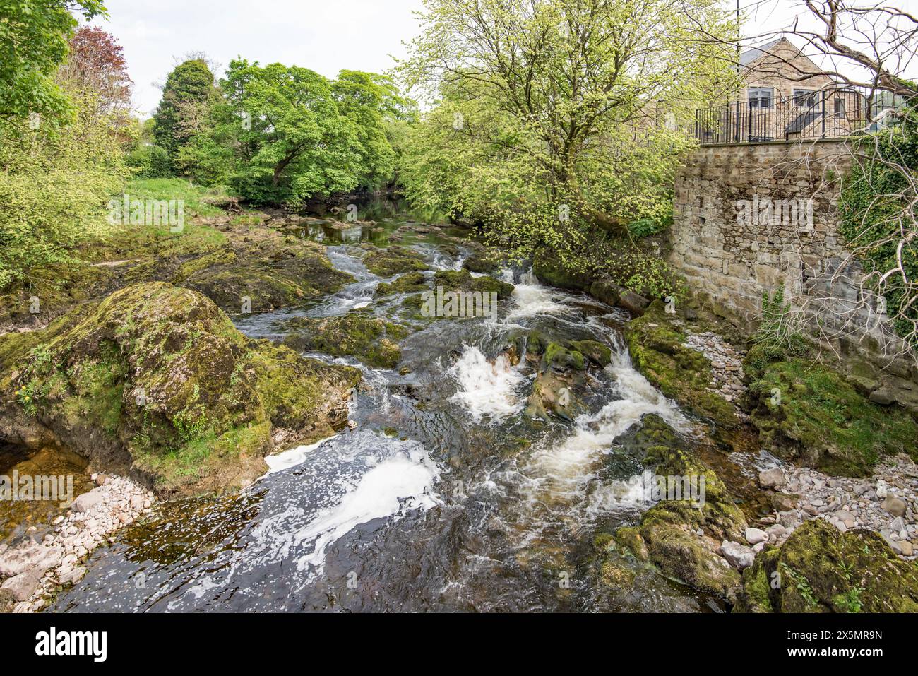 Queen's Rock, Settle, North Yorkshire located in the River Ribble above ...