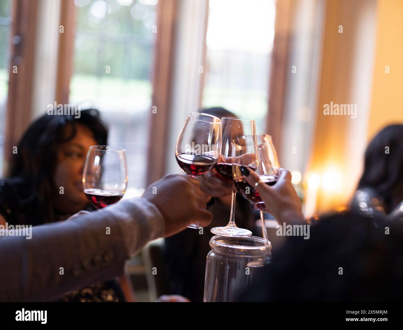 Family toast hi-res stock photography and images - Alamy
