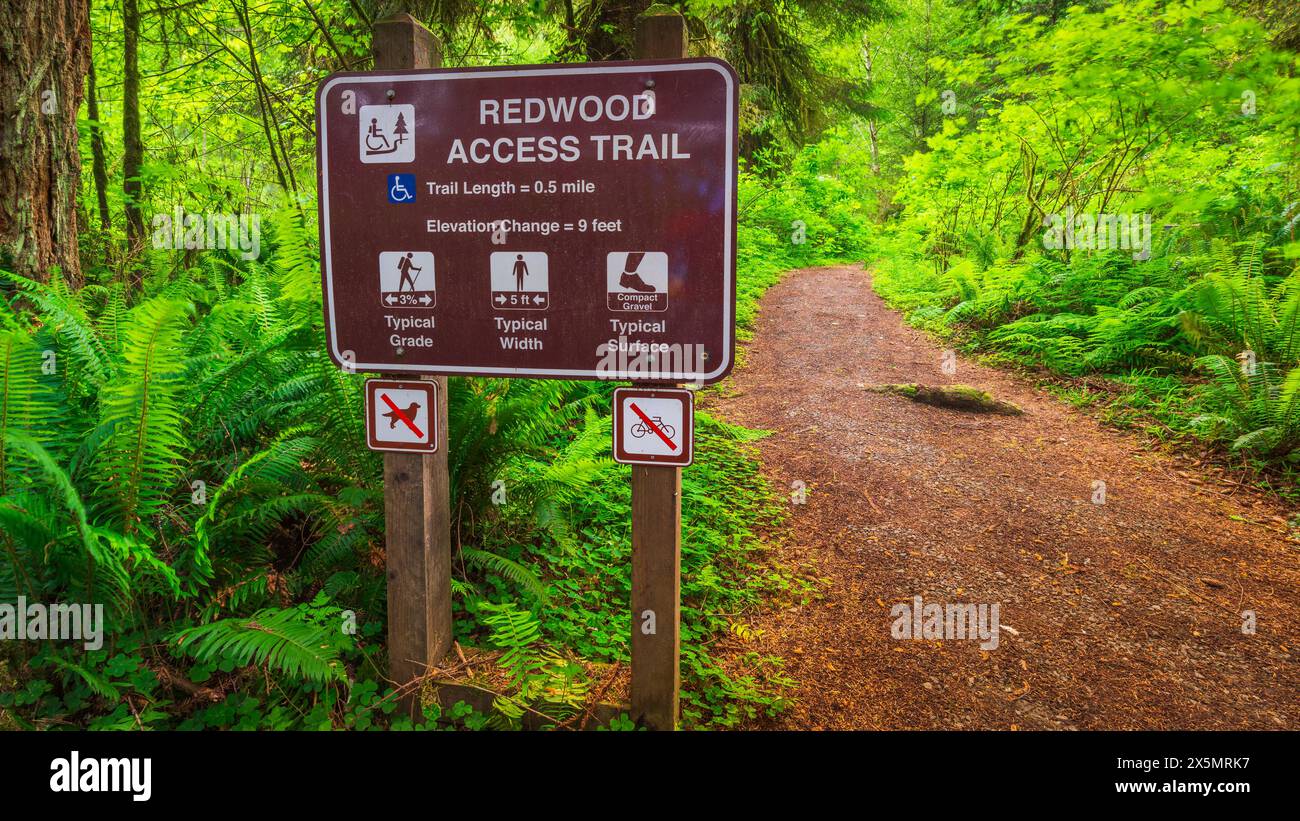 Redwood Access Trail at Prairie Creek Redwoods State Park, California ...