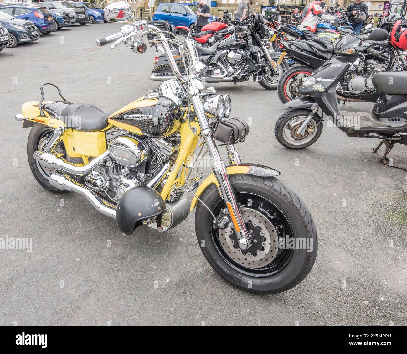 Speedo boy hi-res stock photography and images - Alamy