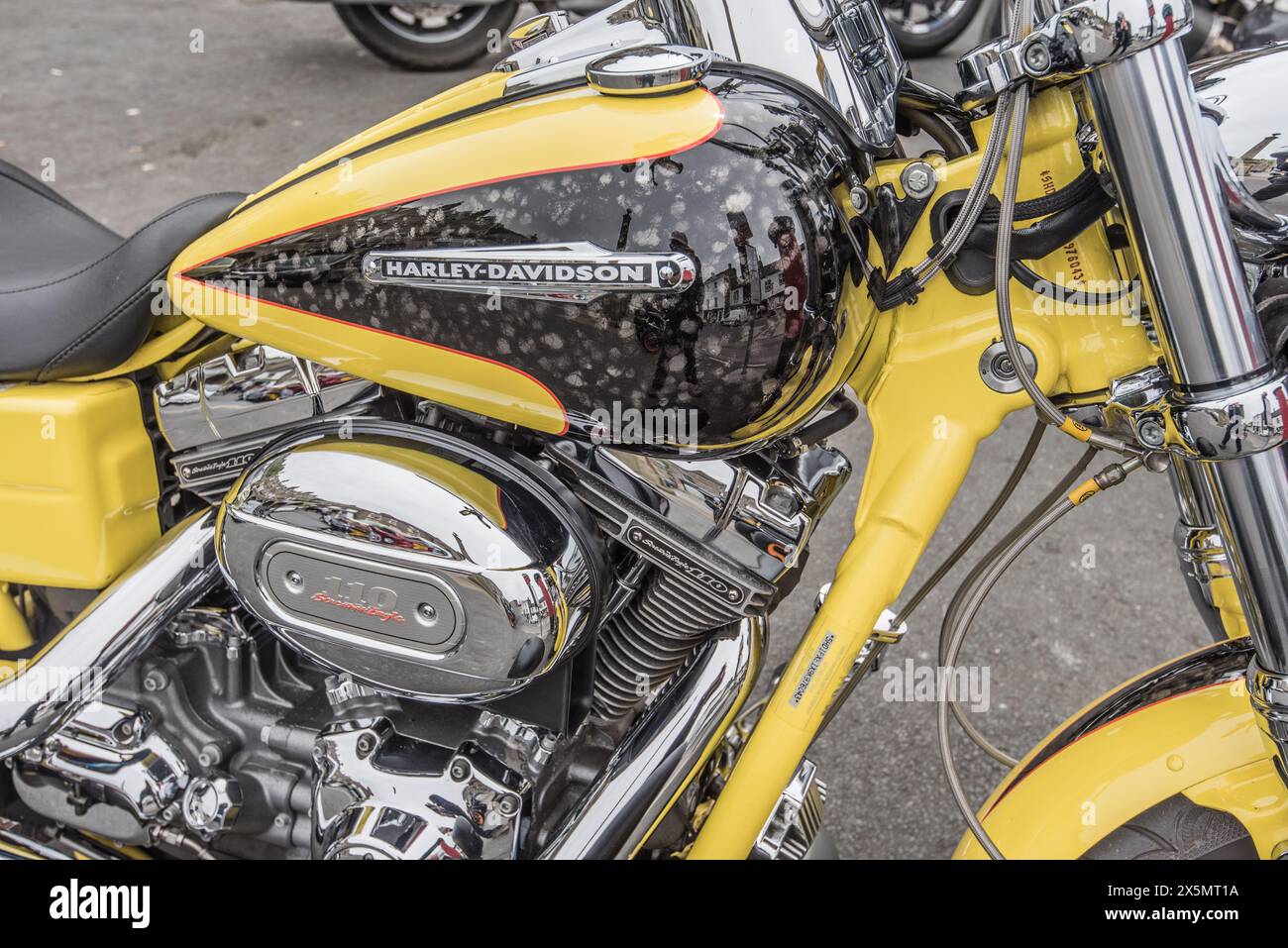 Speedo boy hi-res stock photography and images - Alamy