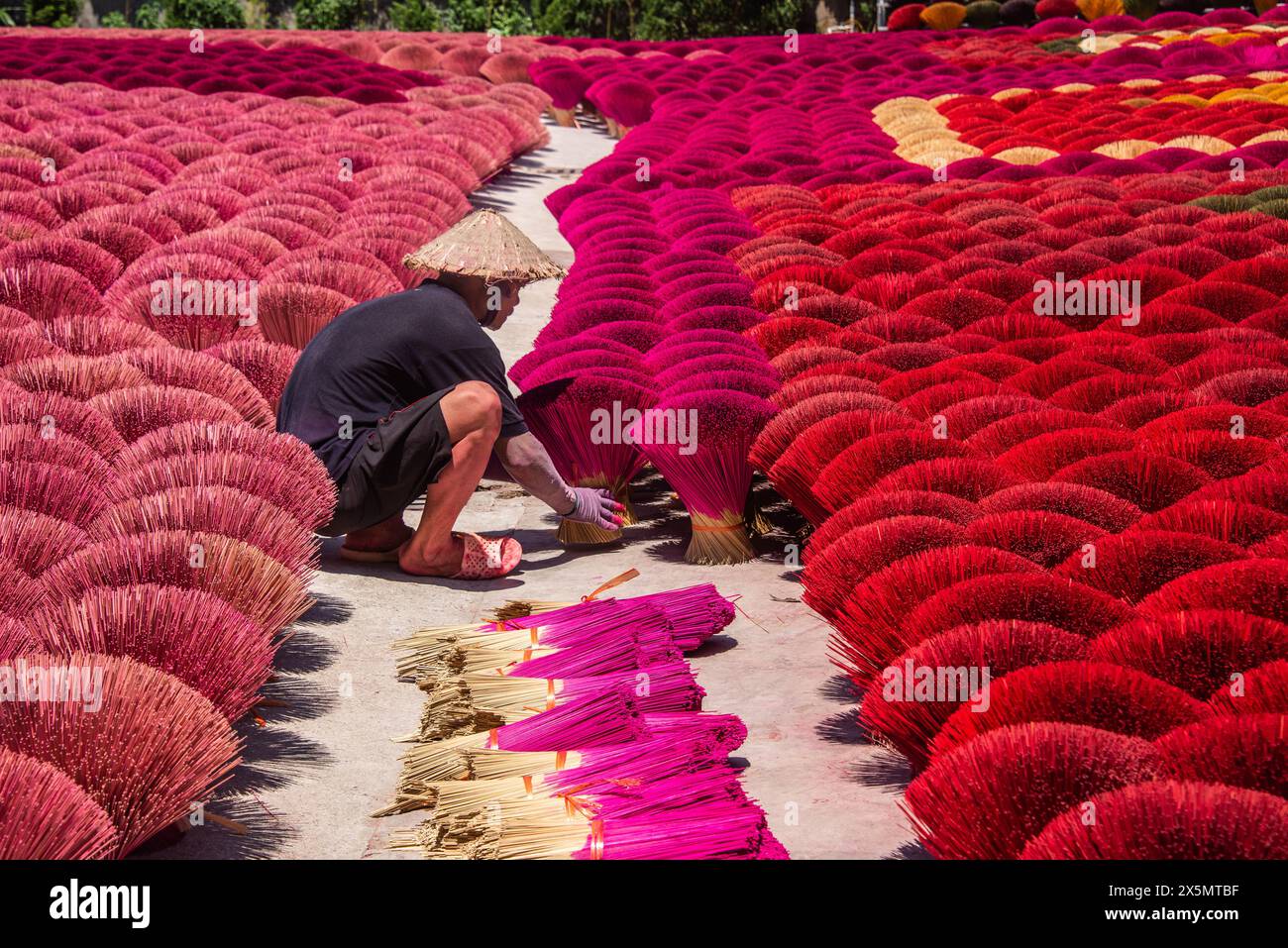 Worker drying incense in the Quang Phu Cau incense village, Hanoi ...