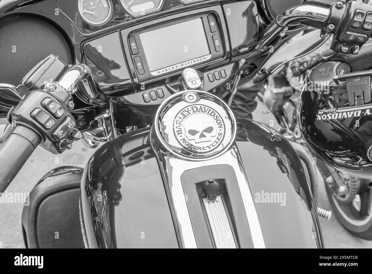 Speedo boy hi-res stock photography and images - Alamy