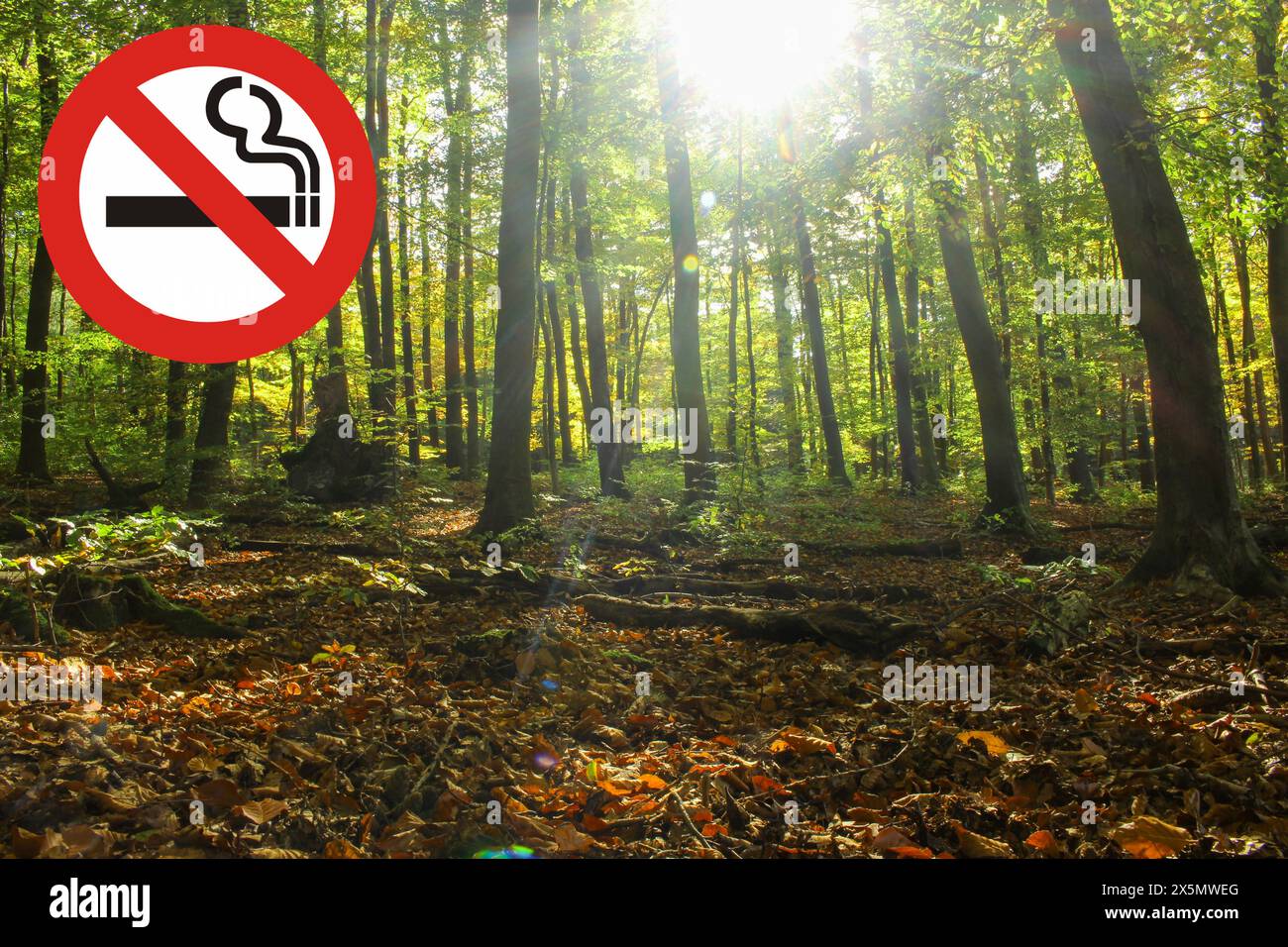 No smoking sign in forest hi-res stock photography and images - Alamy
