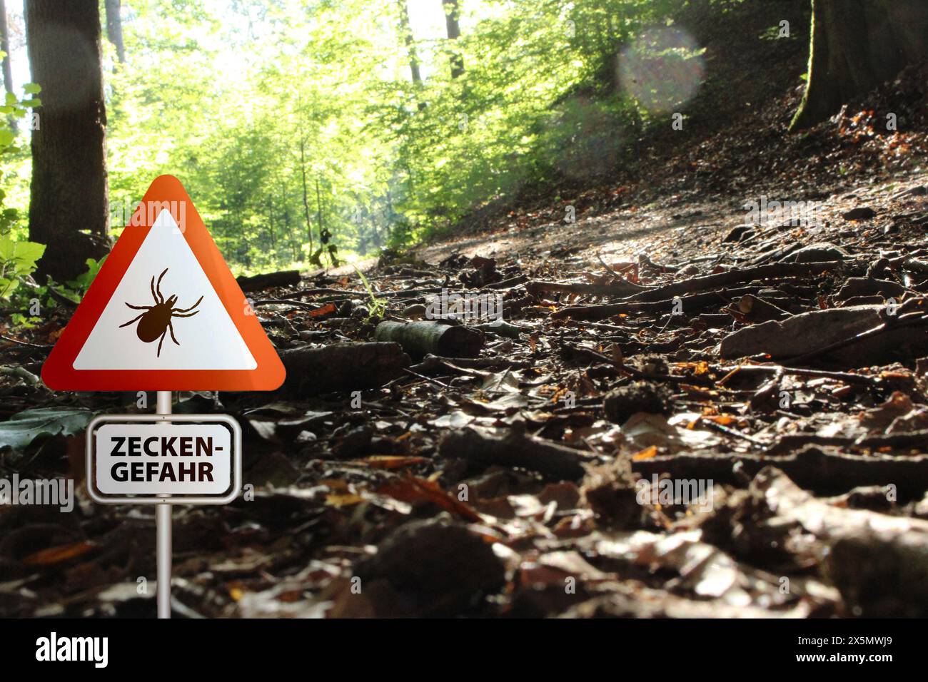 Warning sign for infected ticks in a forest. Risk of tick and Lyme ...