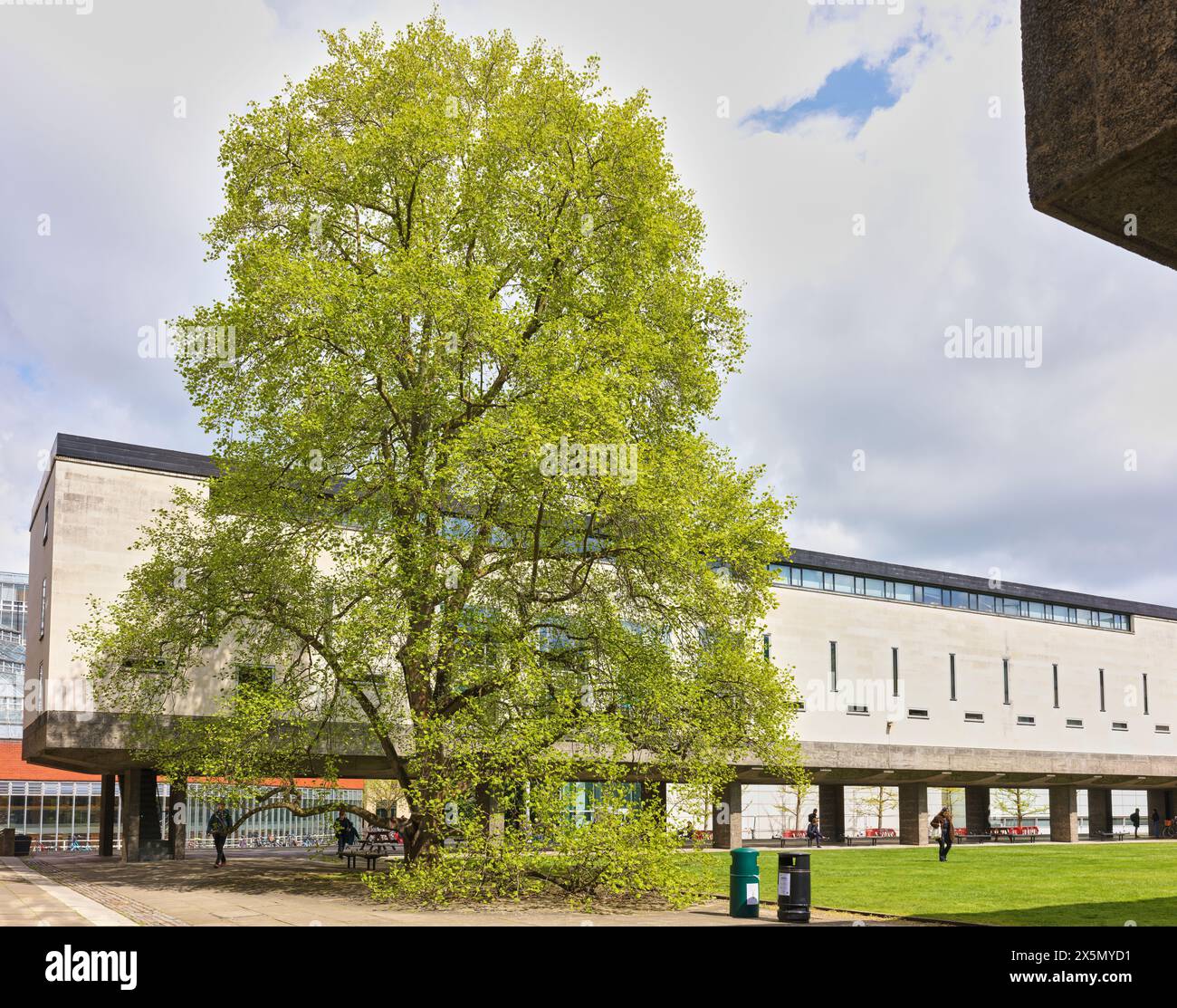 Raised faculty building cambridge hi-res stock photography and images ...