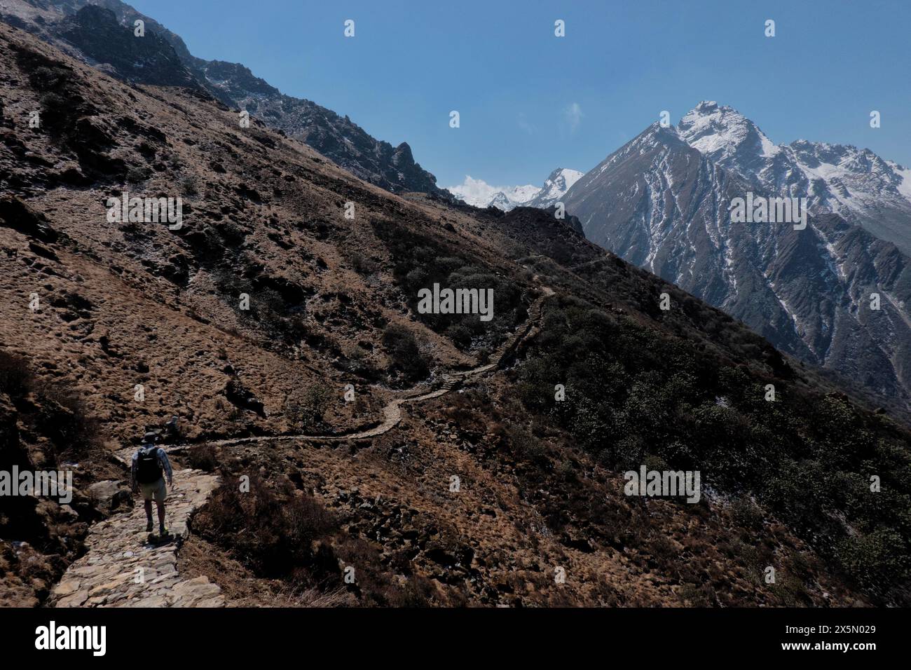 Climbing to Sele La High Camp on the Kangchenjunga (Kanchenjunga) trek ...