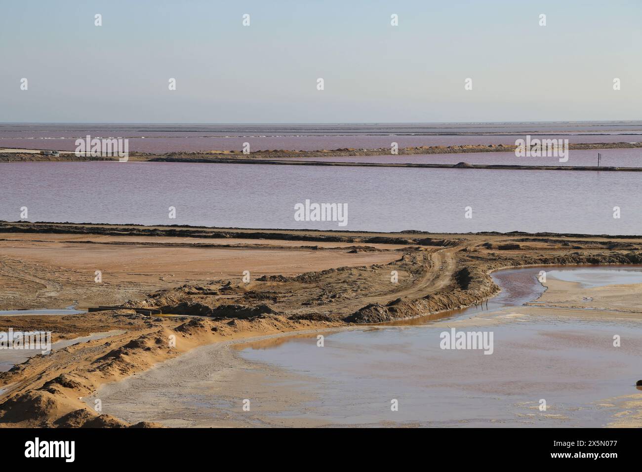 Namibia food production hi-res stock photography and images - Alamy