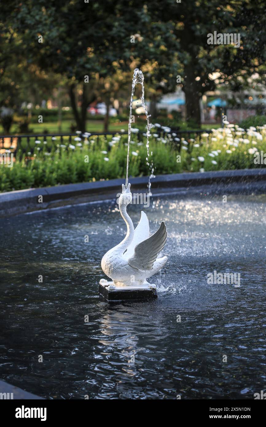 Forsyth park fountain swan hi-res stock photography and images - Alamy