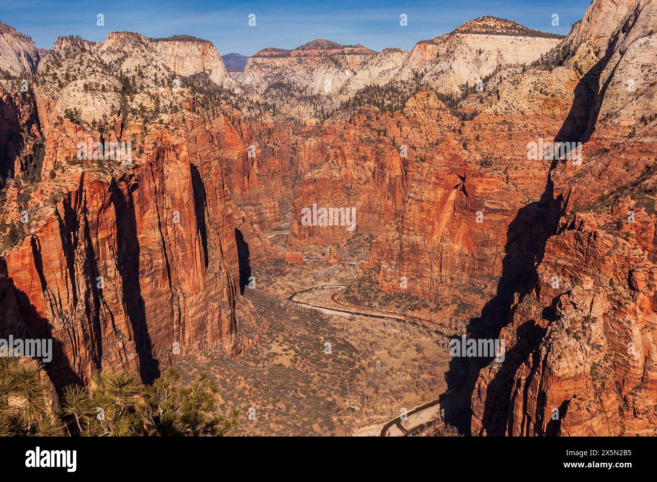 View from the Angel's Landing Trail, Zion National Park, Utah Stock ...