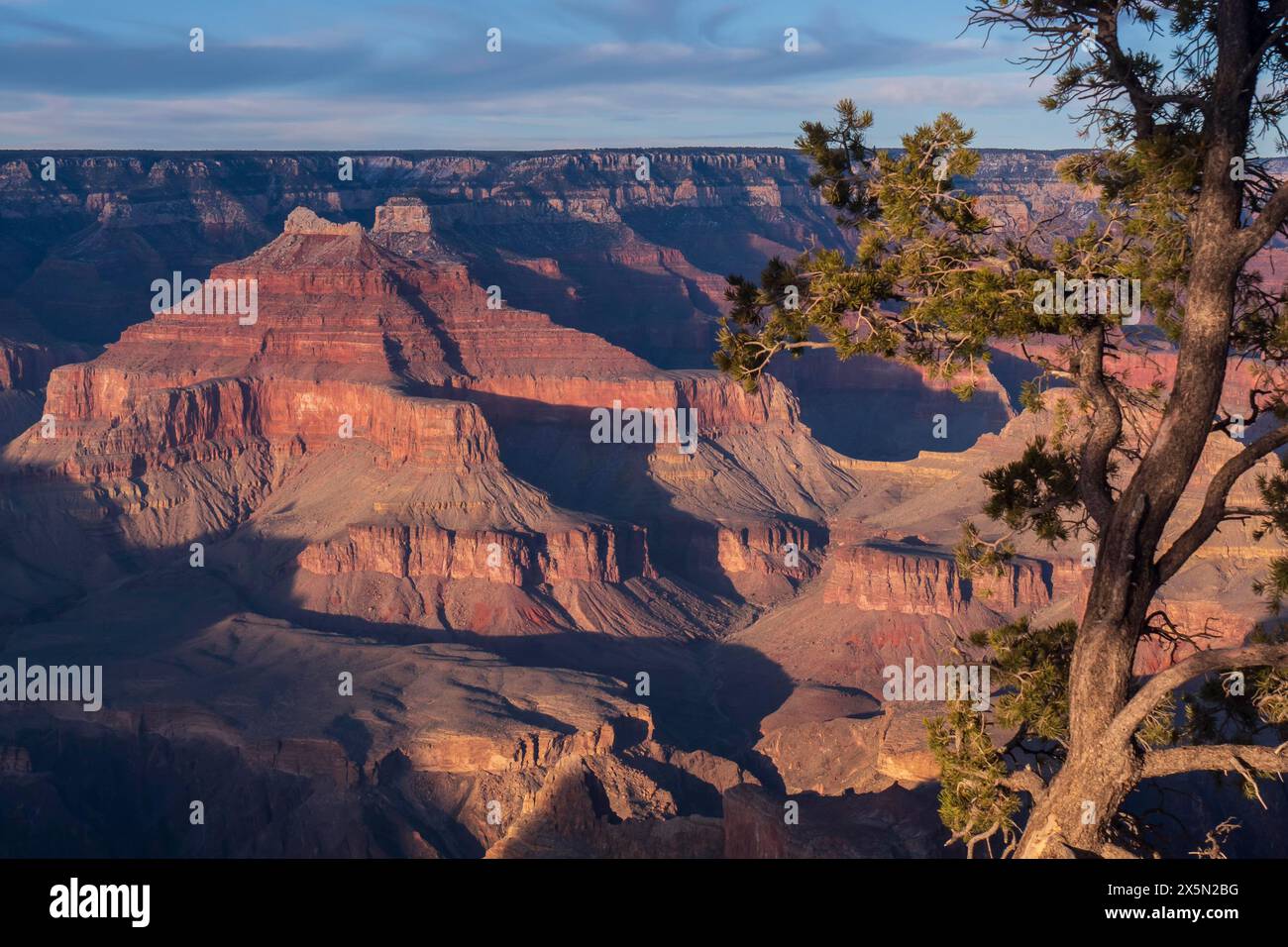Shiva Temple from Monhave Point, Grand Canyon South Rim, Arizona Stock ...