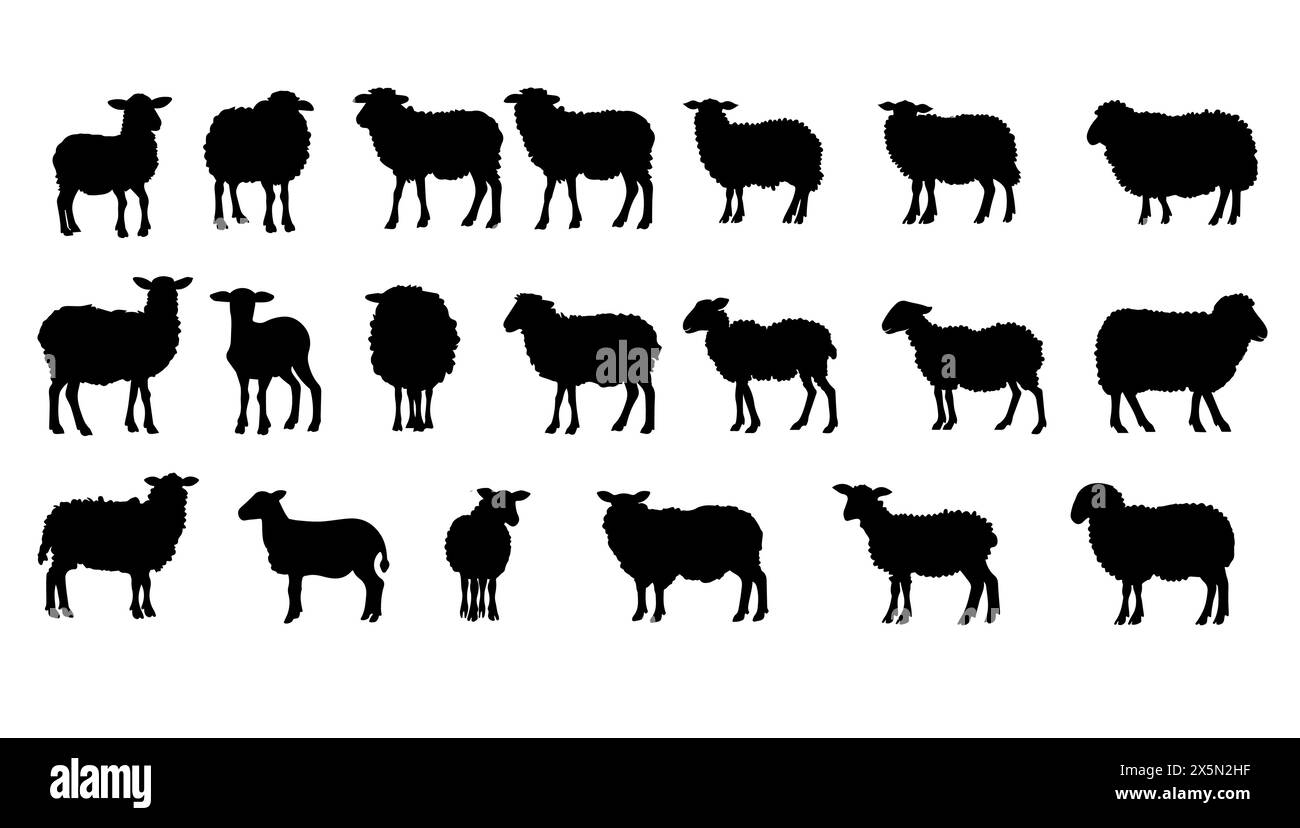 Set Sheep silhouette vector illustration. Animal farm icon and ...