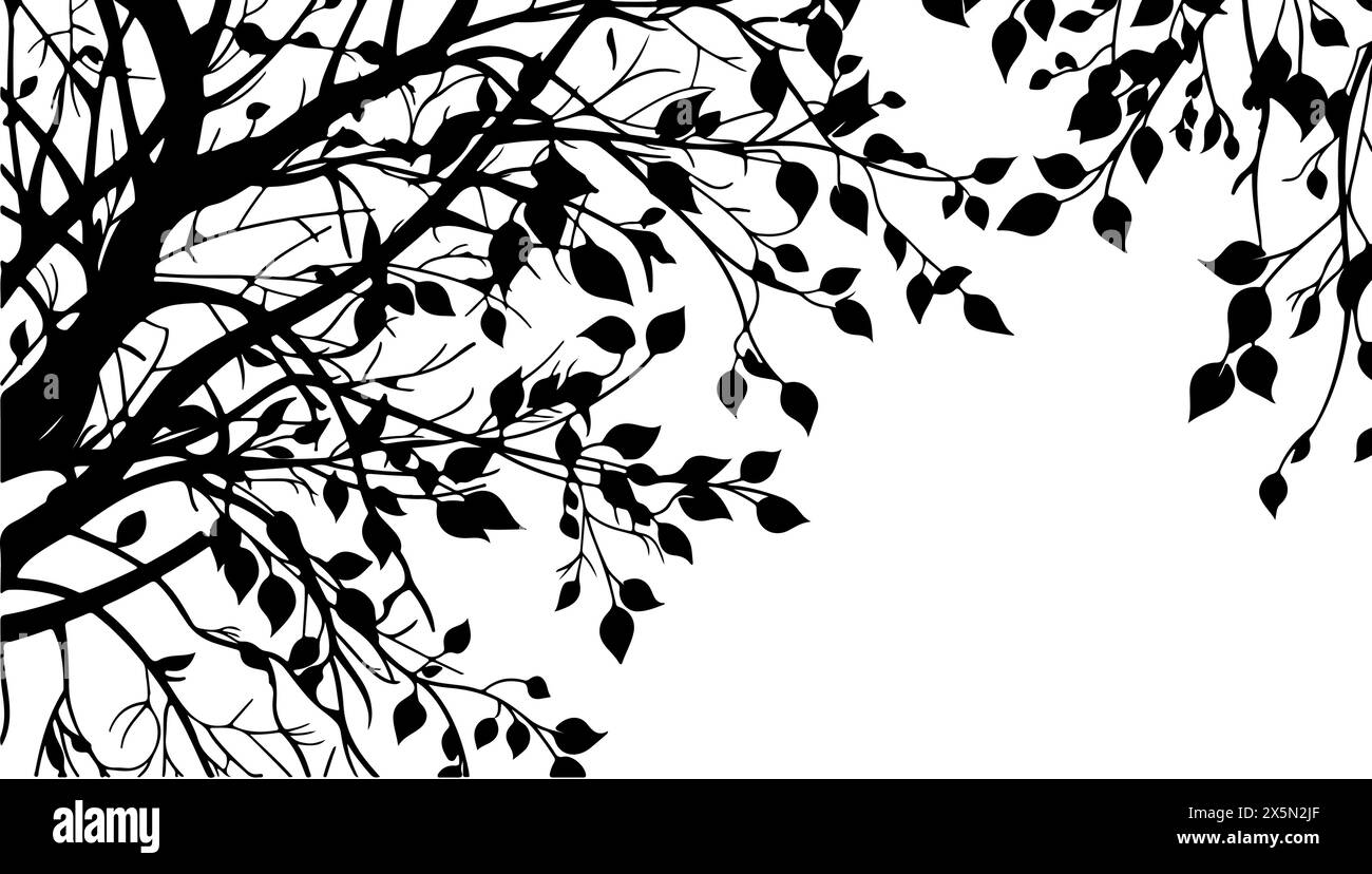 Tree Branch Silhouette On