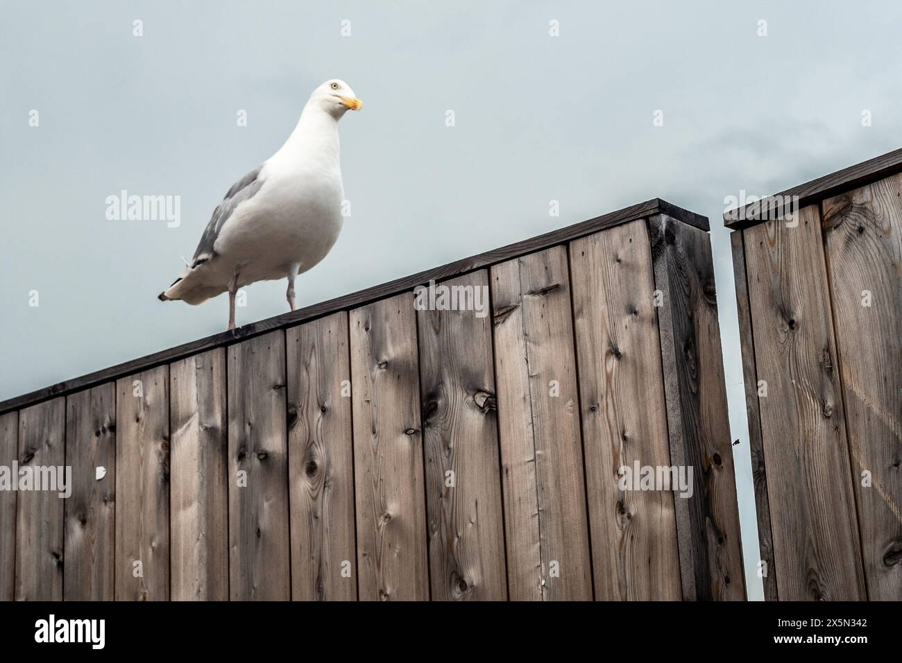Dreamland theme park, Margate, Kent Stock Photo - Alamy