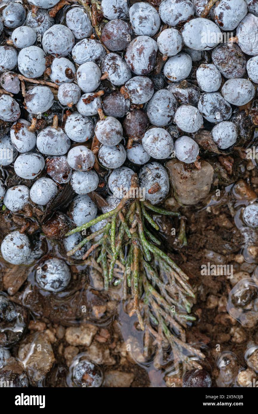 Embudito trail hi-res stock photography and images - Alamy
