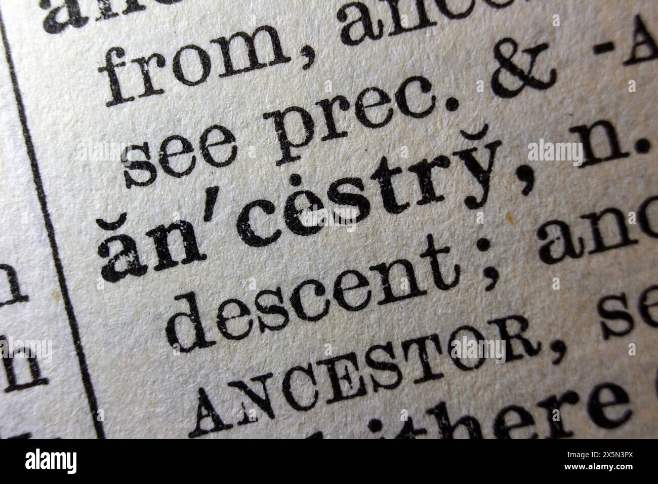 Word ancestry on dictionary page, macro close-up Stock Photo - Alamy