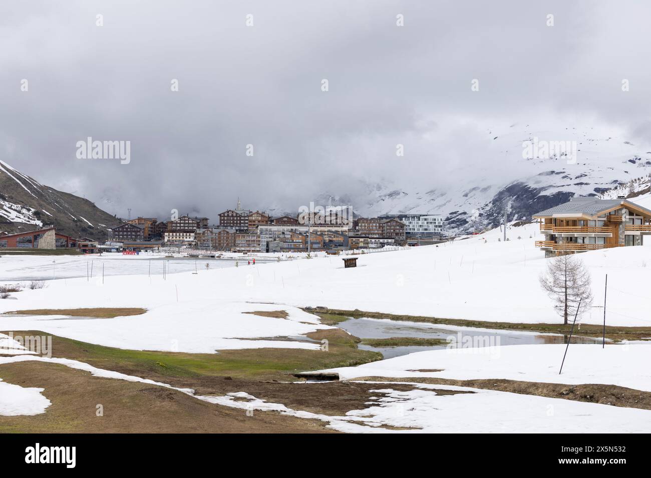 Flora slowly emerges from under the snow in mid-spring after all the ...