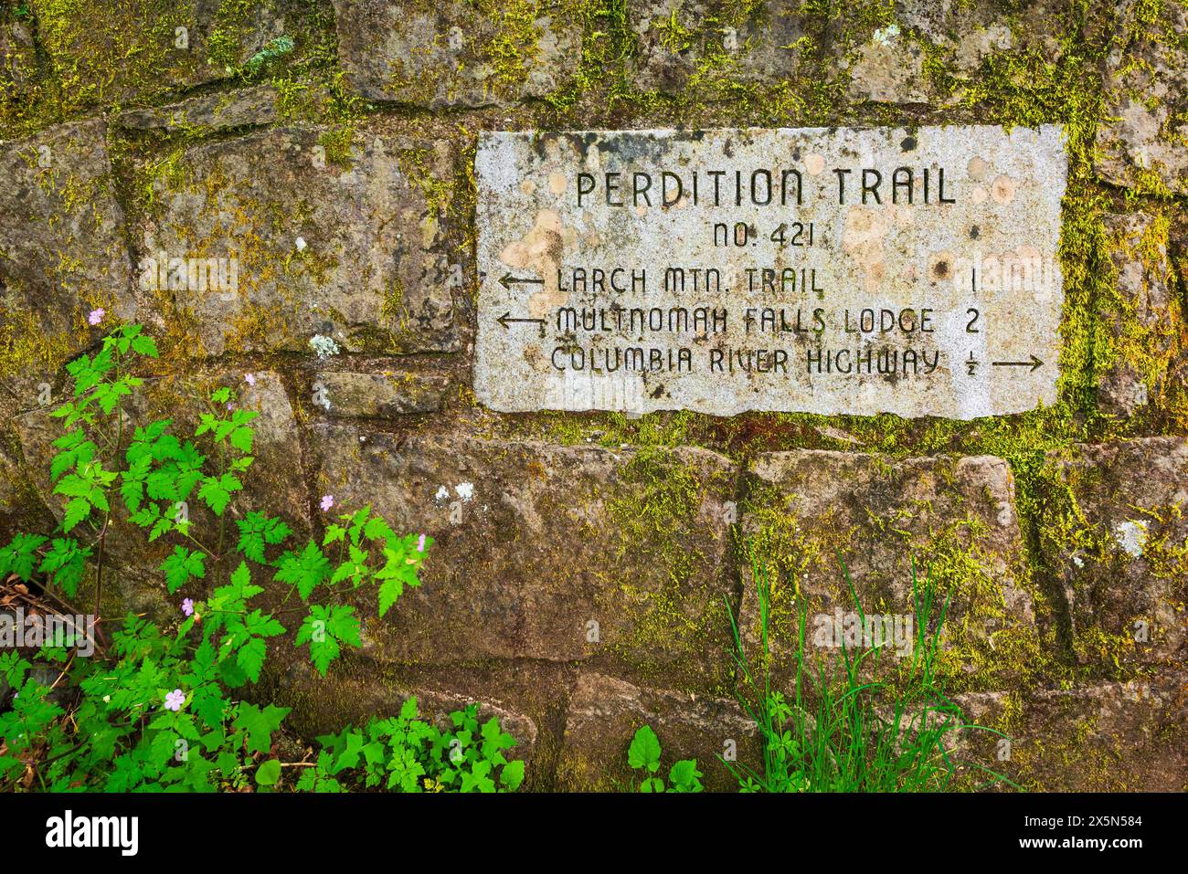 Perdition Trail sign, Columbia River Gorge National Scenic Area, Oregon ...