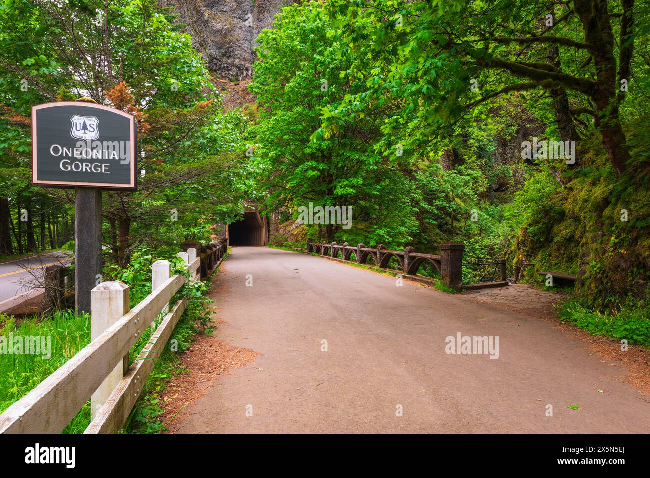 Oneonta Gorge, Columbia River Gorge National Scenic Area, Oregon, USA ...