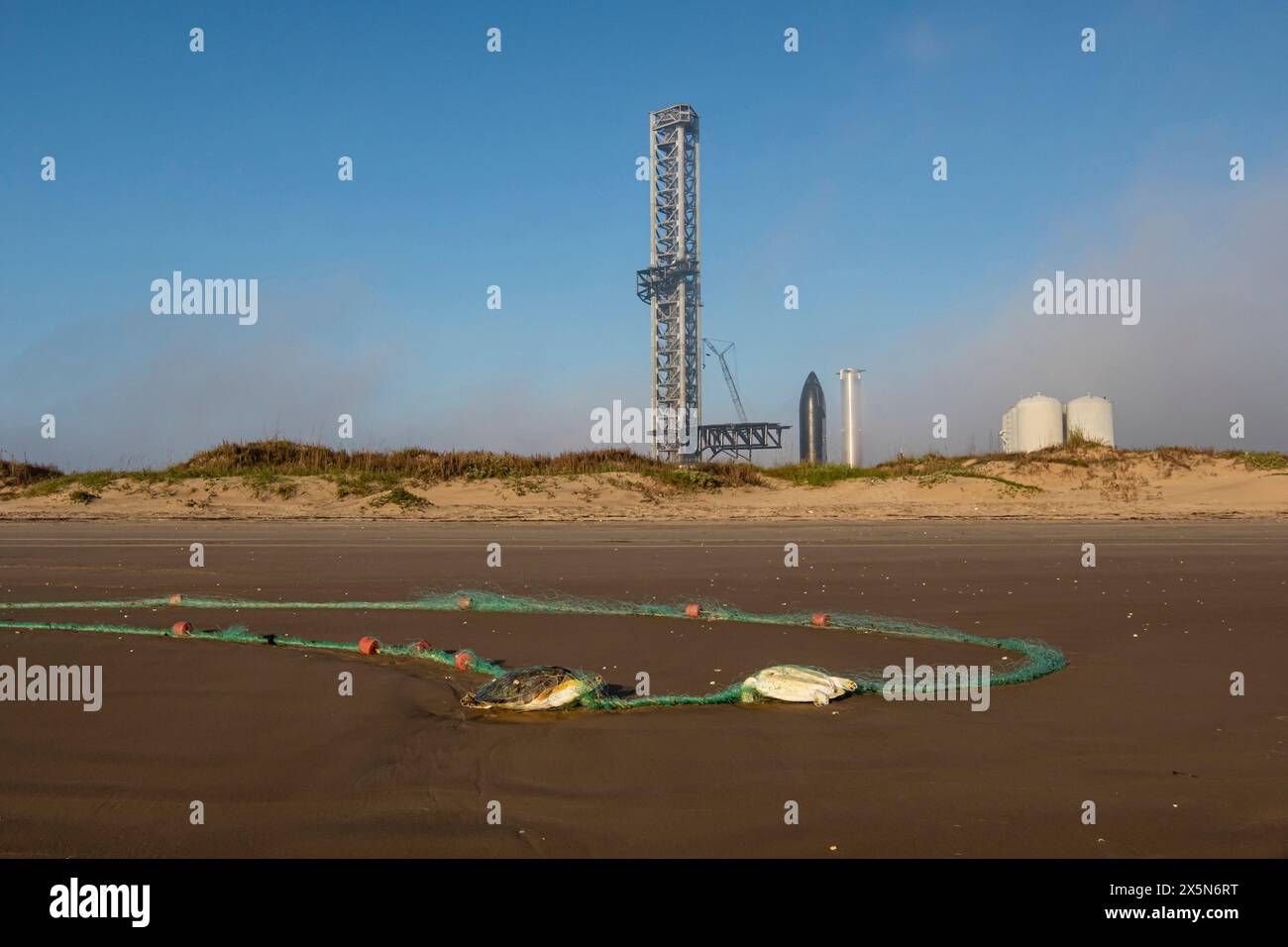 USA, Texas, Cameron County. Boca Chica Beach, Gulf of Mexico, green sea ...