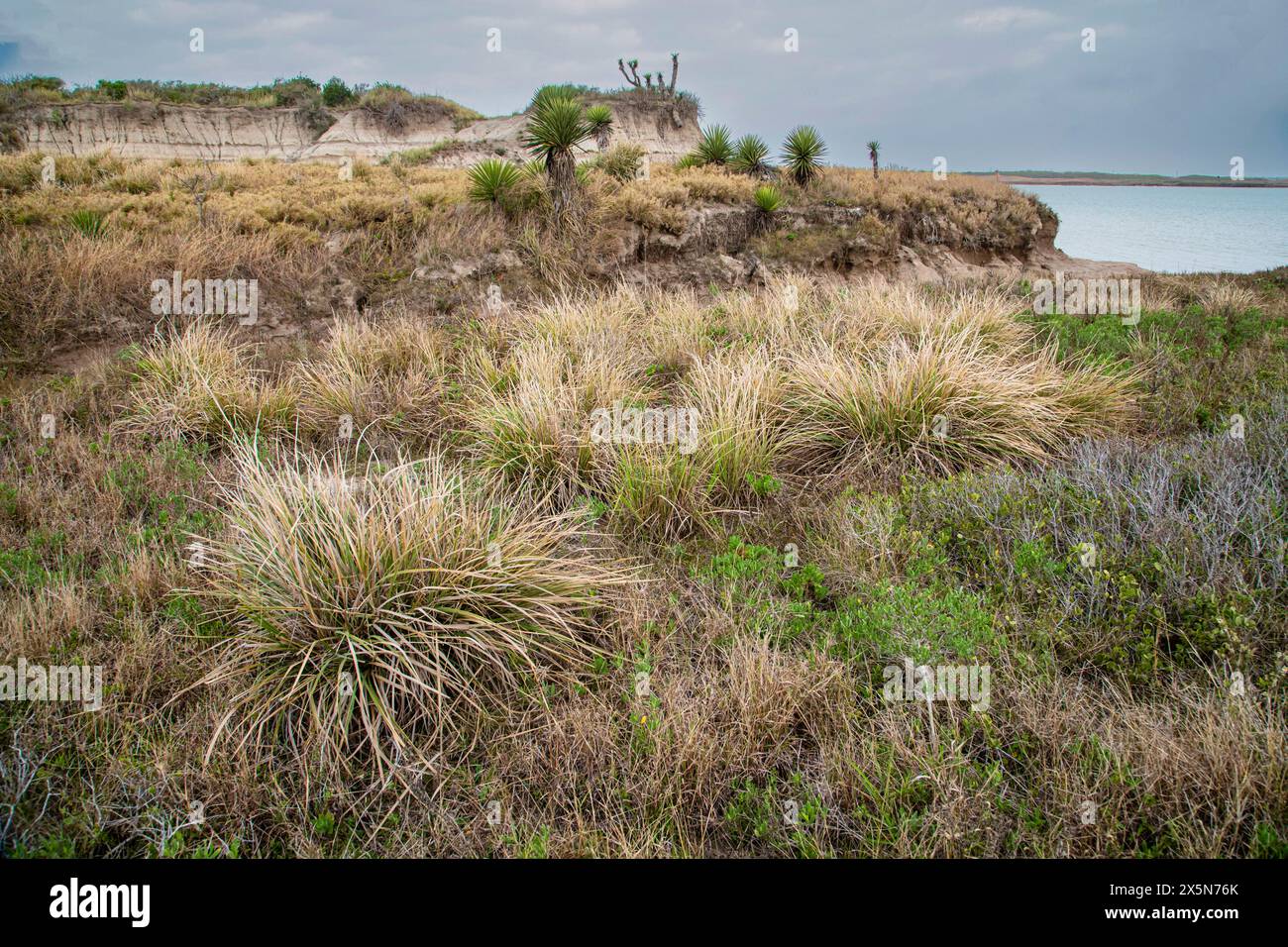 Brownsville ship channel hi-res stock photography and images - Alamy