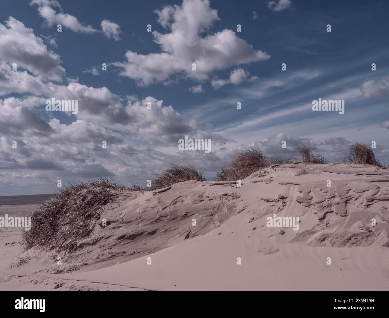 the island of ameland in holland Stock Photo - Alamy