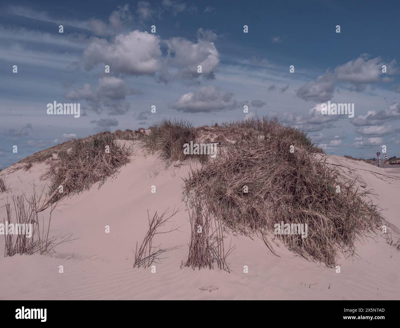 the island of ameland in holland Stock Photo - Alamy