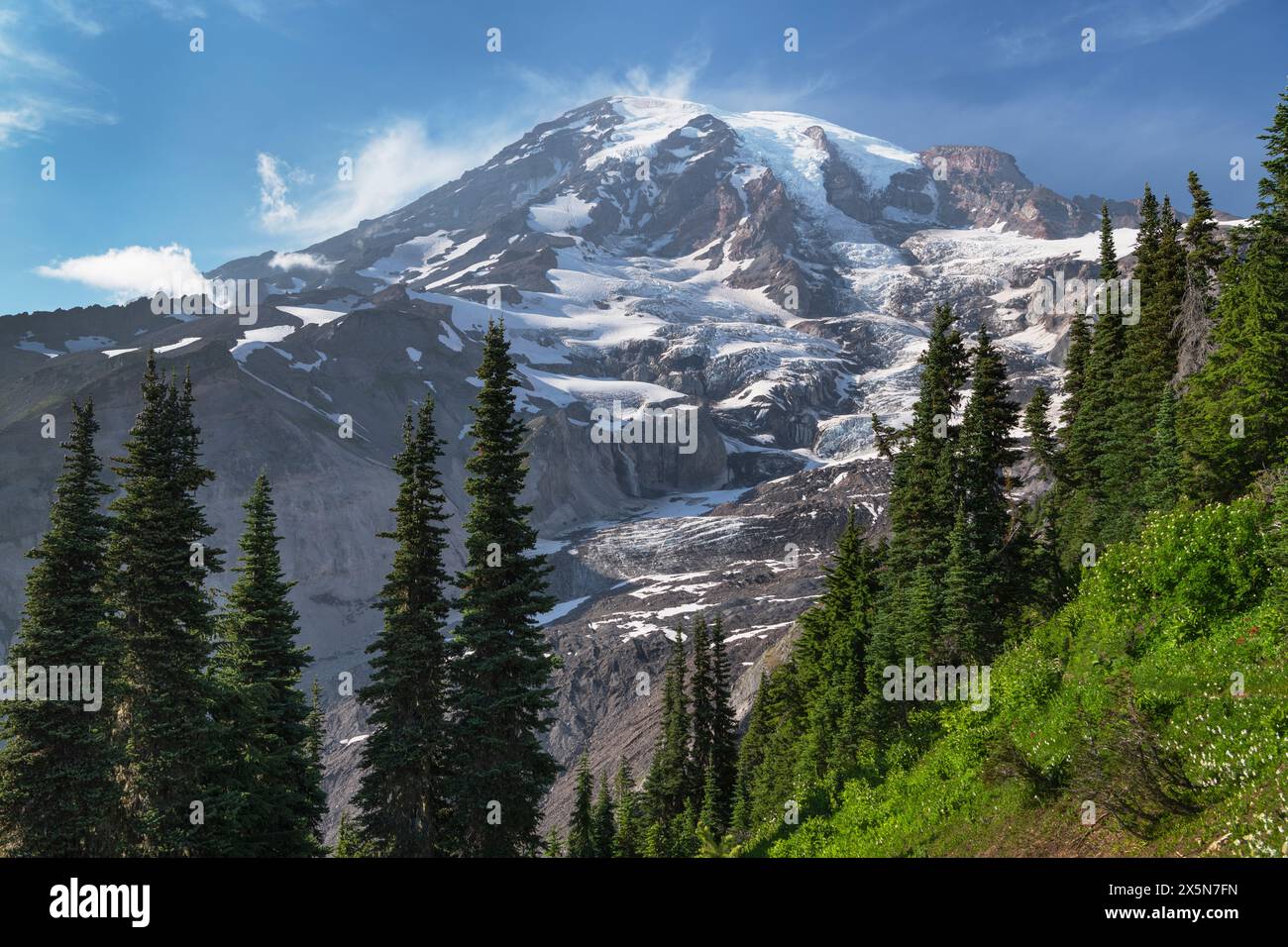 Mount Rainier seen from Skyline Trail of Paradise, Mount Rainier ...