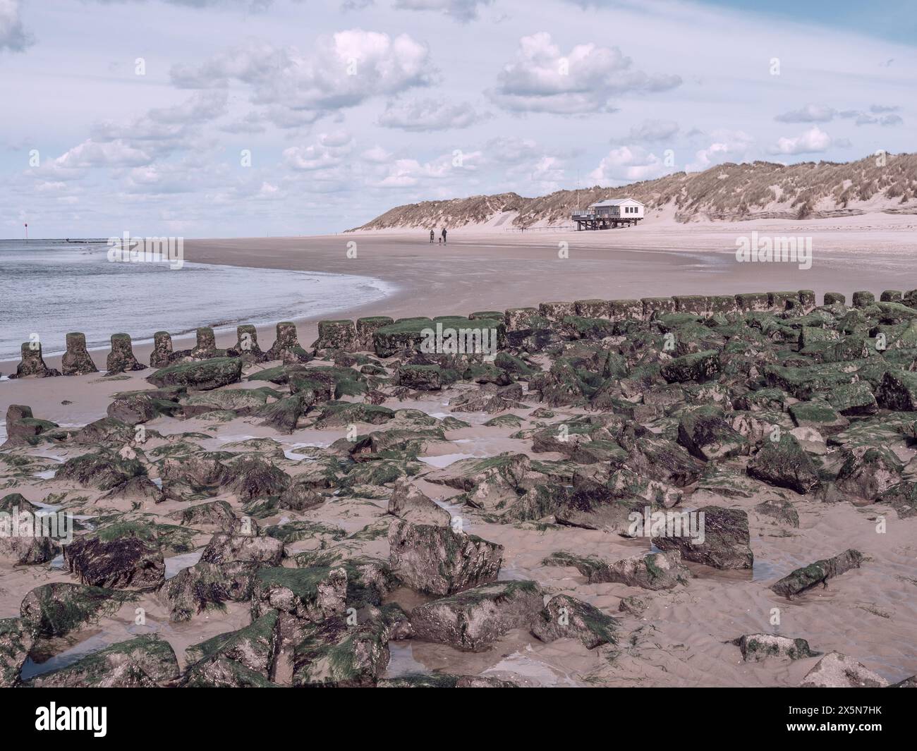 the island of ameland in holland Stock Photo - Alamy