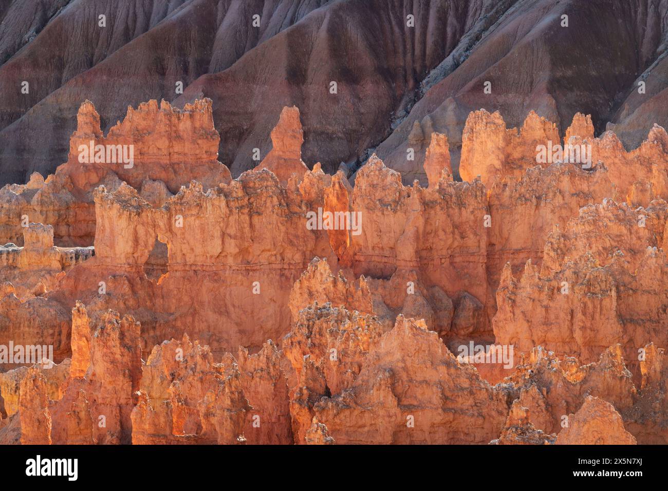 View of colorful hoodoos of the Silent City seen from sunrise Point ...