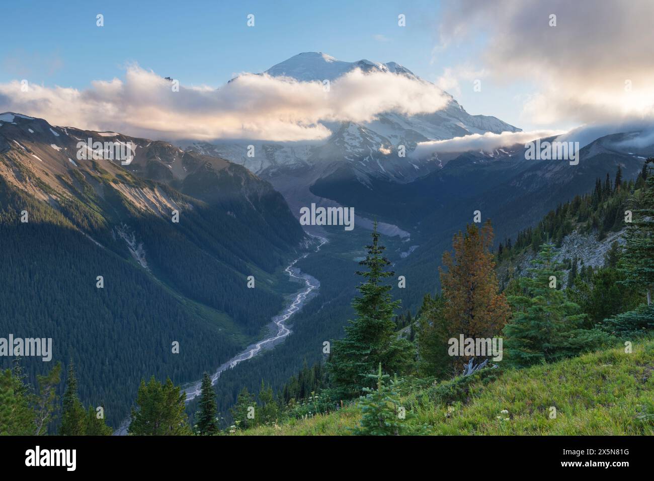 Mount Rainier and White River Valley seen from Silver Forest trail ...