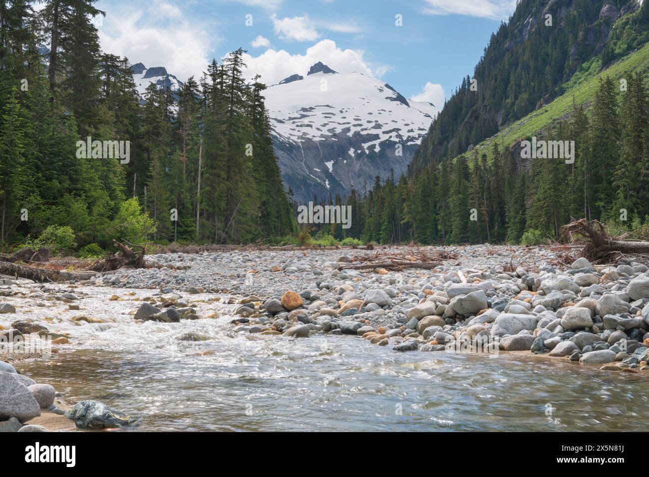 View of Icy Peak and Nooksack River from Nooksack Cirque Trail, North ...