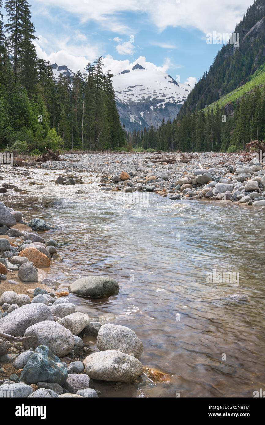 View of Icy Peak and Nooksack River from Nooksack Cirque Trail, North ...