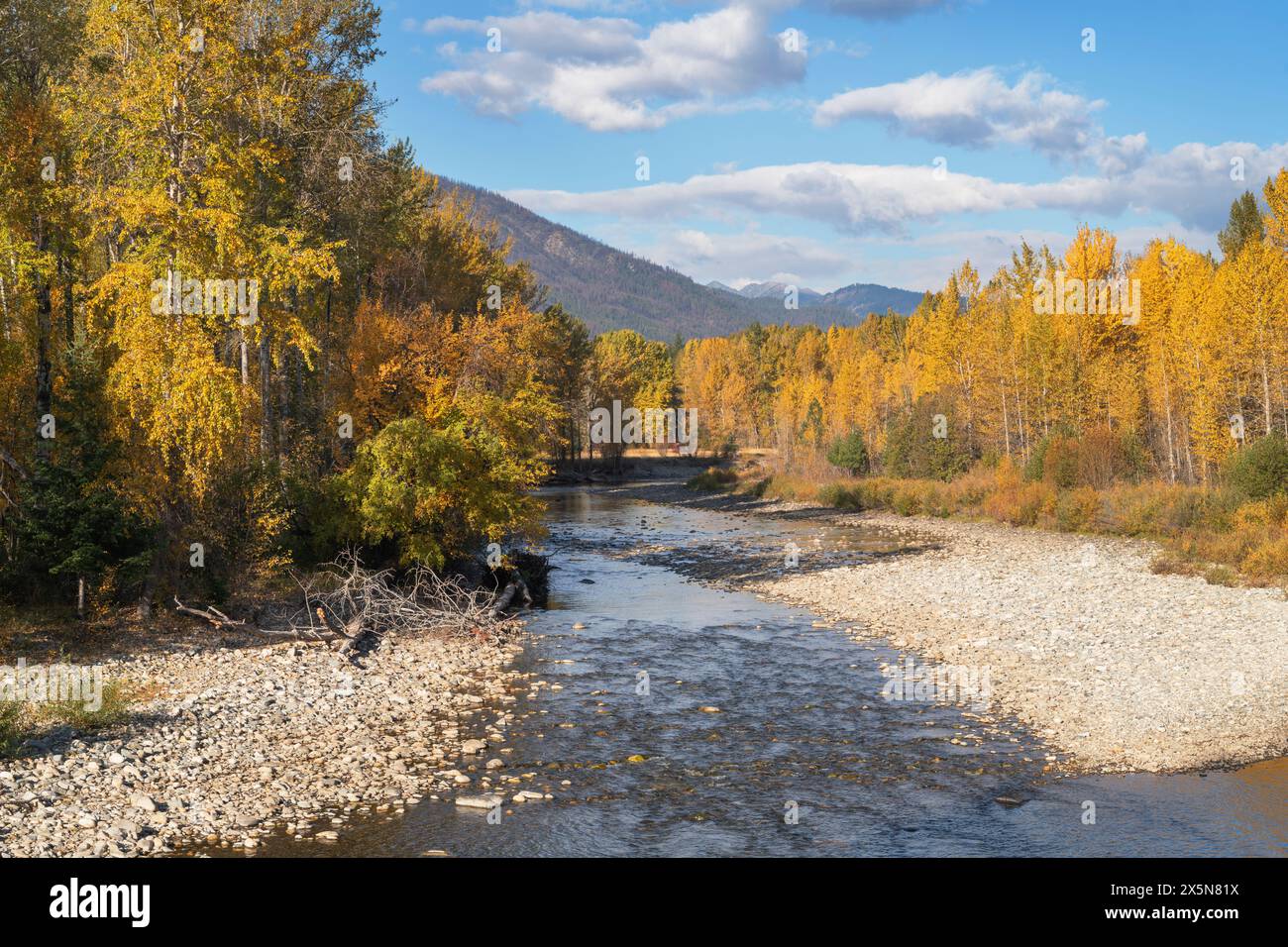 Fall foliage along the Methow River near Mazama, Washington State Stock ...
