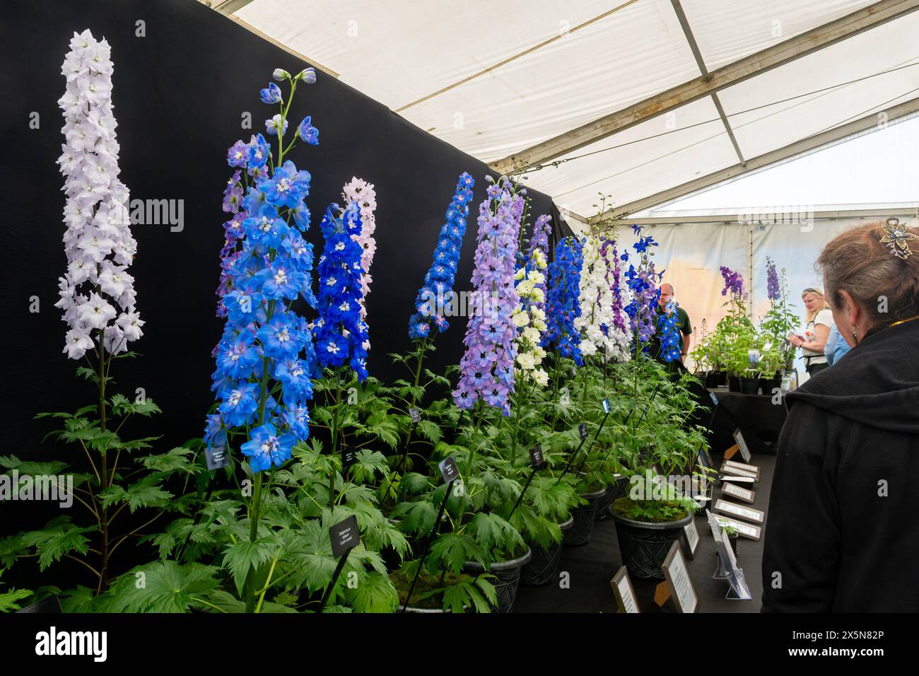 May 9th 2024. RHS Malvern Spring Festival opened today on a warm sunny ...
