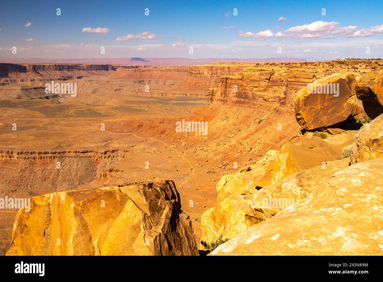 USA, Utah, Bear's Ears National Monument. Muley Point overlook of ...