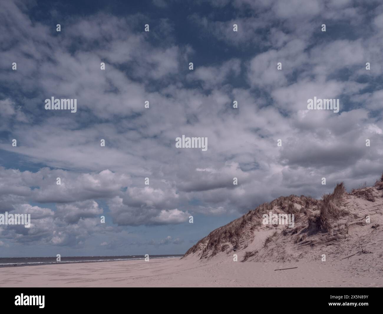 the island of ameland in holland Stock Photo - Alamy
