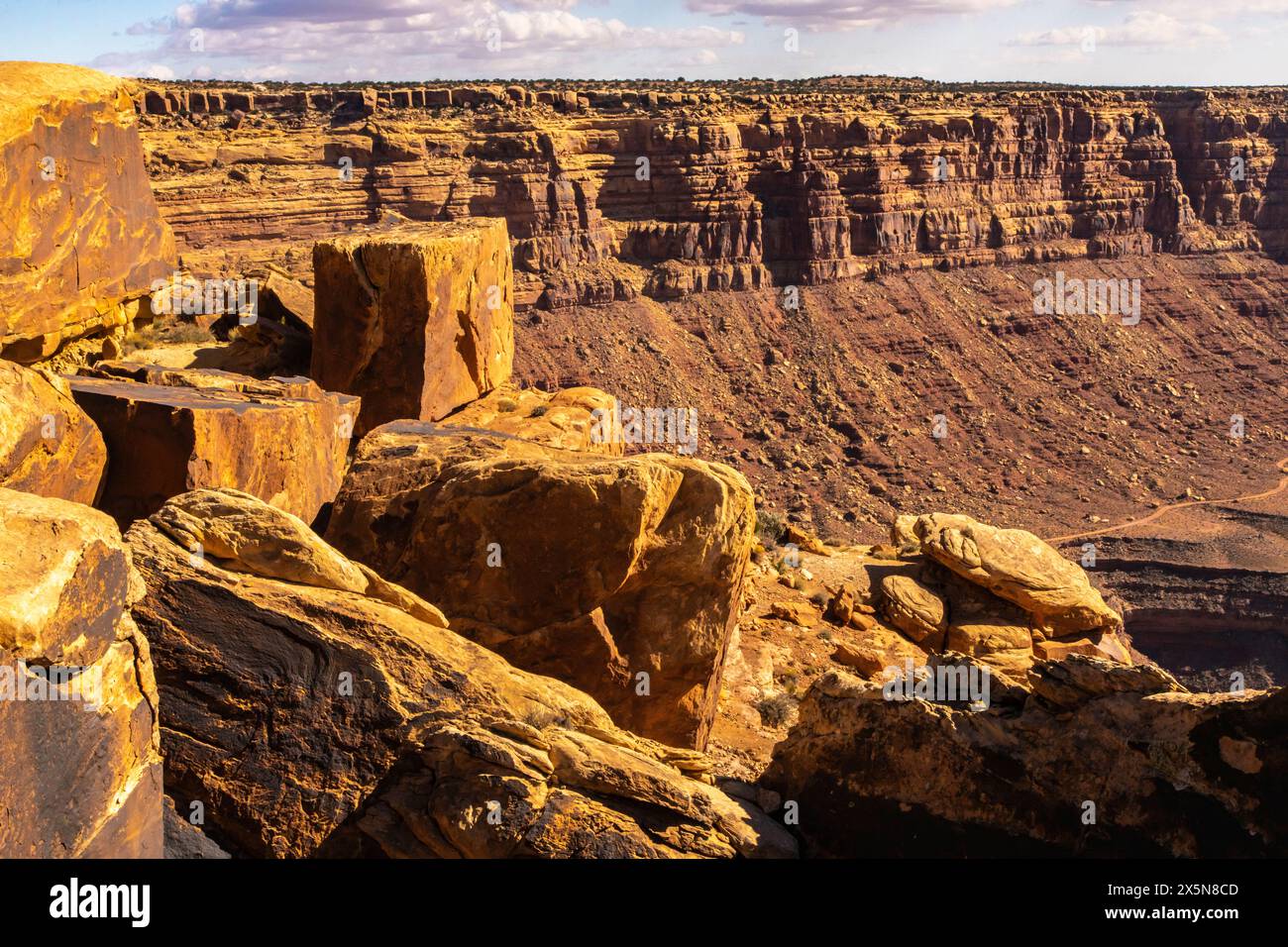 USA, Utah, Bear's Ears National Monument. Muley Point overlook of ...