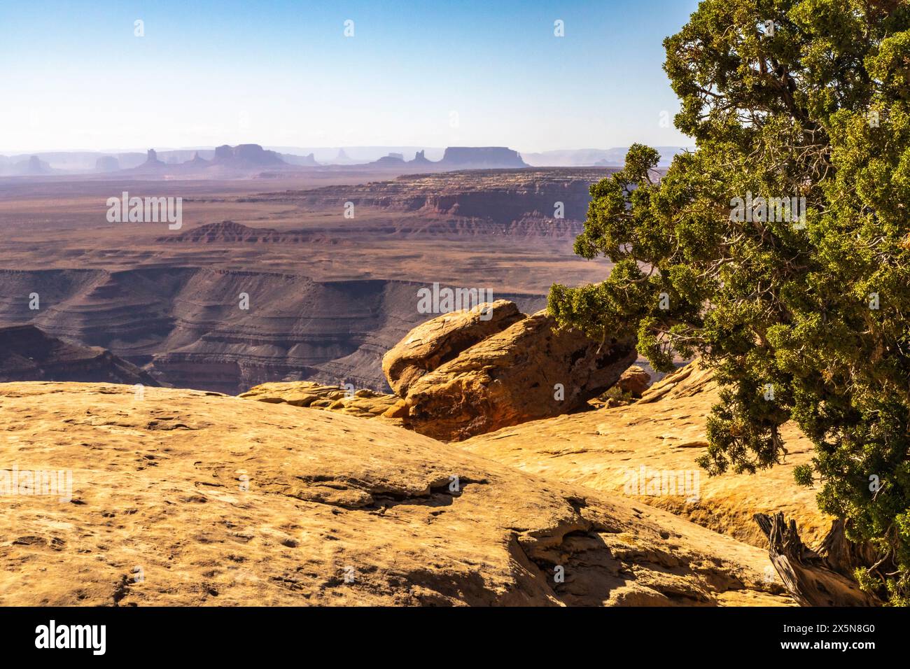 USA, Utah, Bear's Ears National Monument. View of Valley of the Gods ...