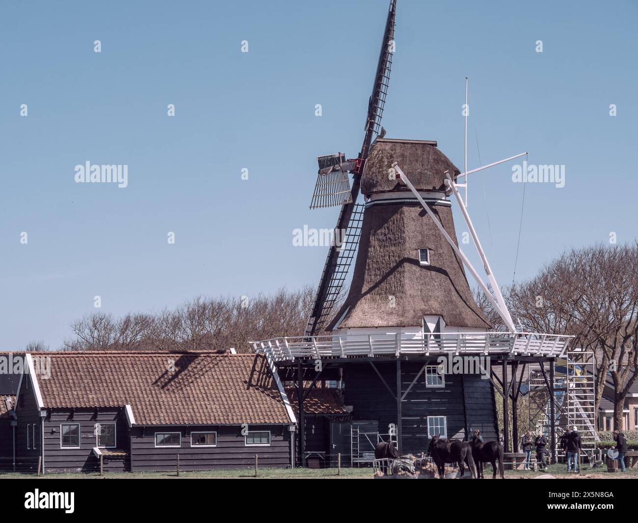 the island of ameland in holland Stock Photo - Alamy