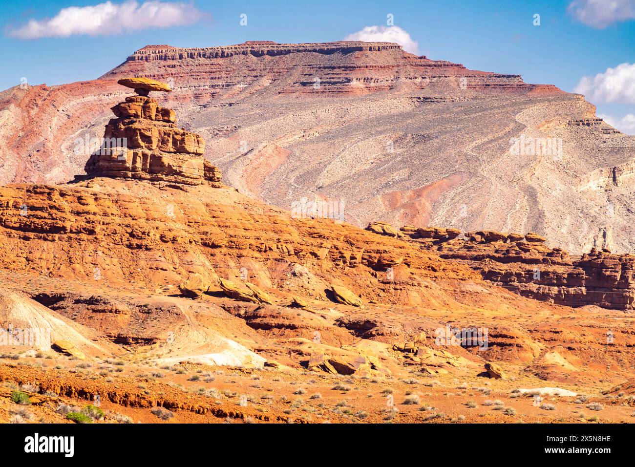 USA, Utah, Bear's Ears National Monument. Mexican Hat eroded rock ...