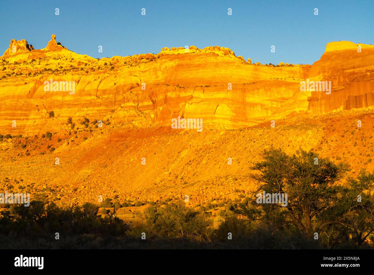 USA, Utah, Bear's Ears National Monument. Comb Ridge landscape Stock ...