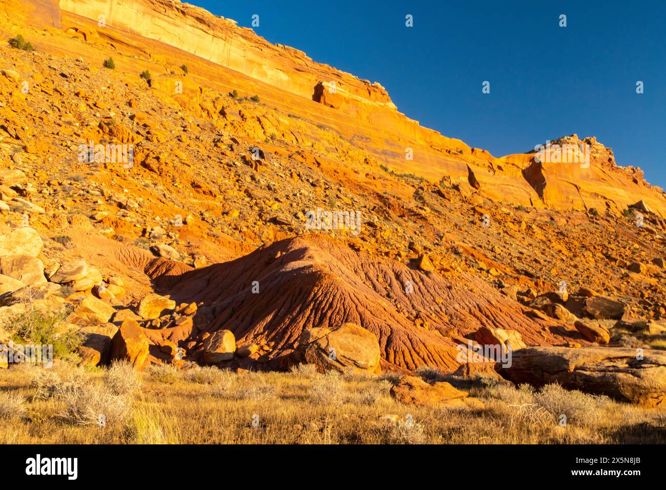USA, Utah, Bear's Ears National Monument. Comb Ridge landscape Stock ...