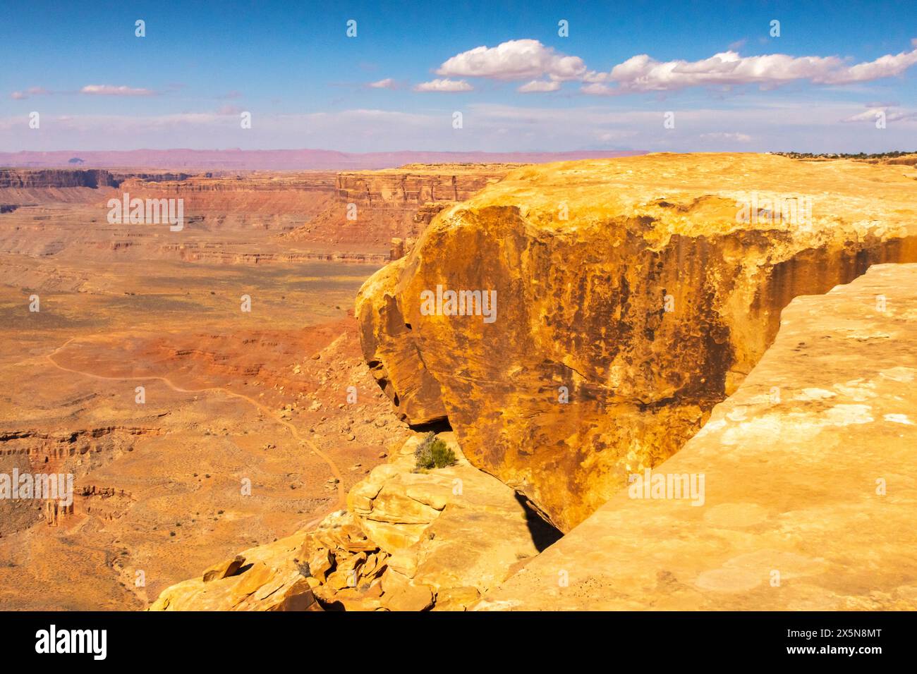 USA, Utah, Bear's Ears National Monument. Muley Point overlook of ...