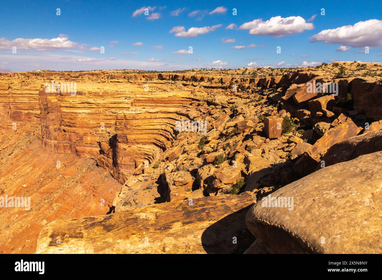 USA, Utah, Bear's Ears National Monument. Muley Point overlook of ...