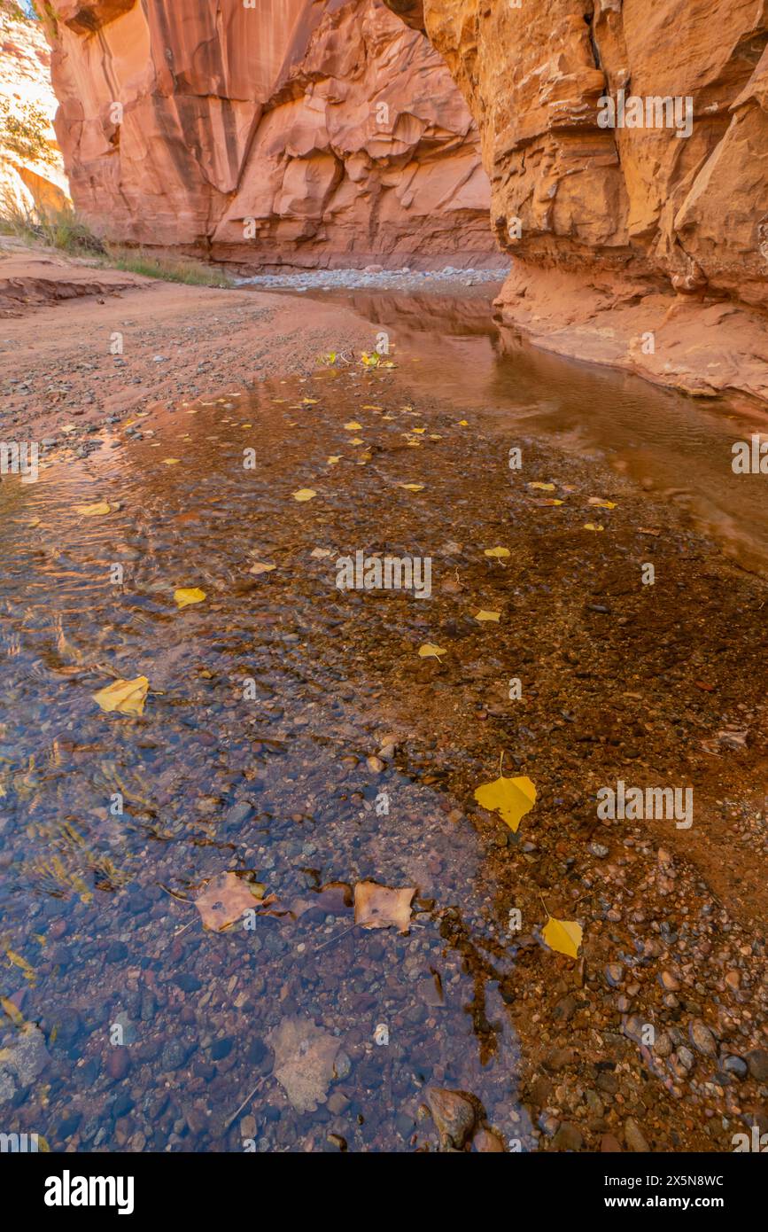 USA, Utah, Glen Canyon National Recreation Area. Rocky cliff and pool ...