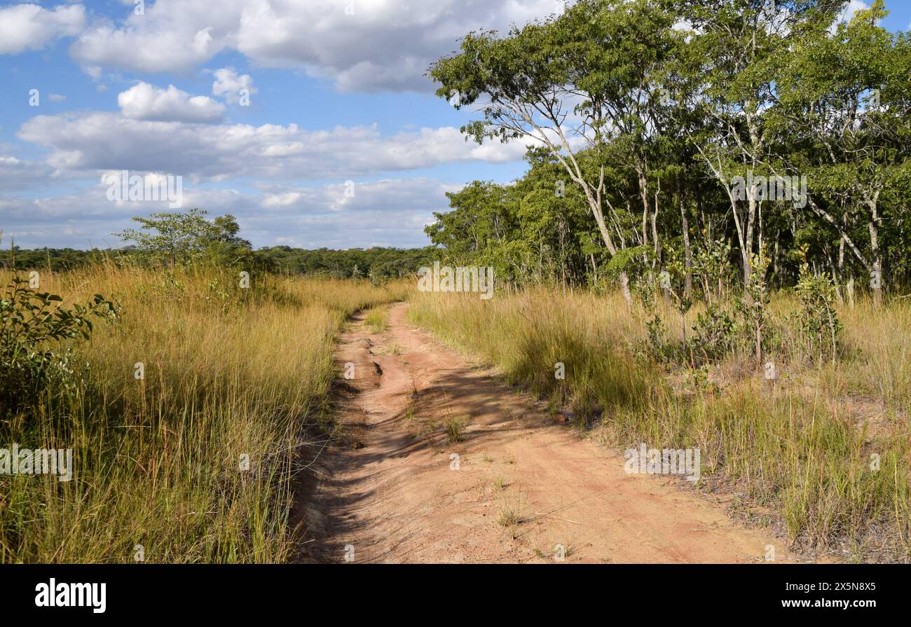 Zimbabwe 27th April 2024. A dirt road in a nature reserve. Credit: Vuk ...